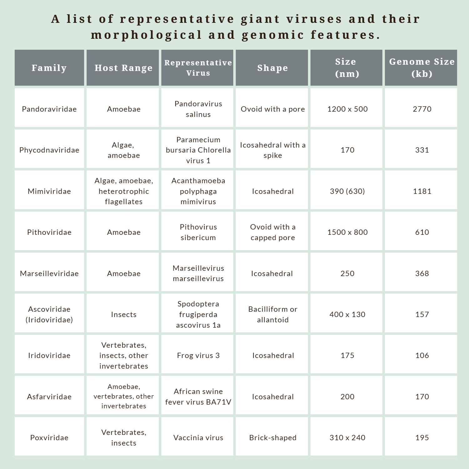 Giant Viruses: Exploring the Giants of the Viral World