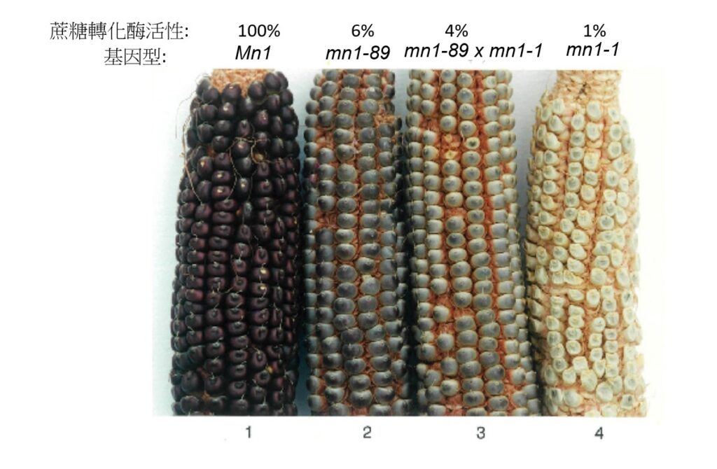 Entering the Survival World of Plants: Decoding Stress Signals— An ...