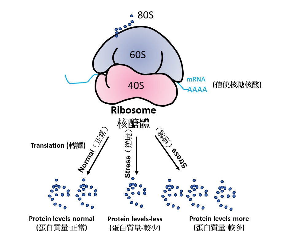 Entering the Survival World of Plants: Decoding Stress Signals— An ...